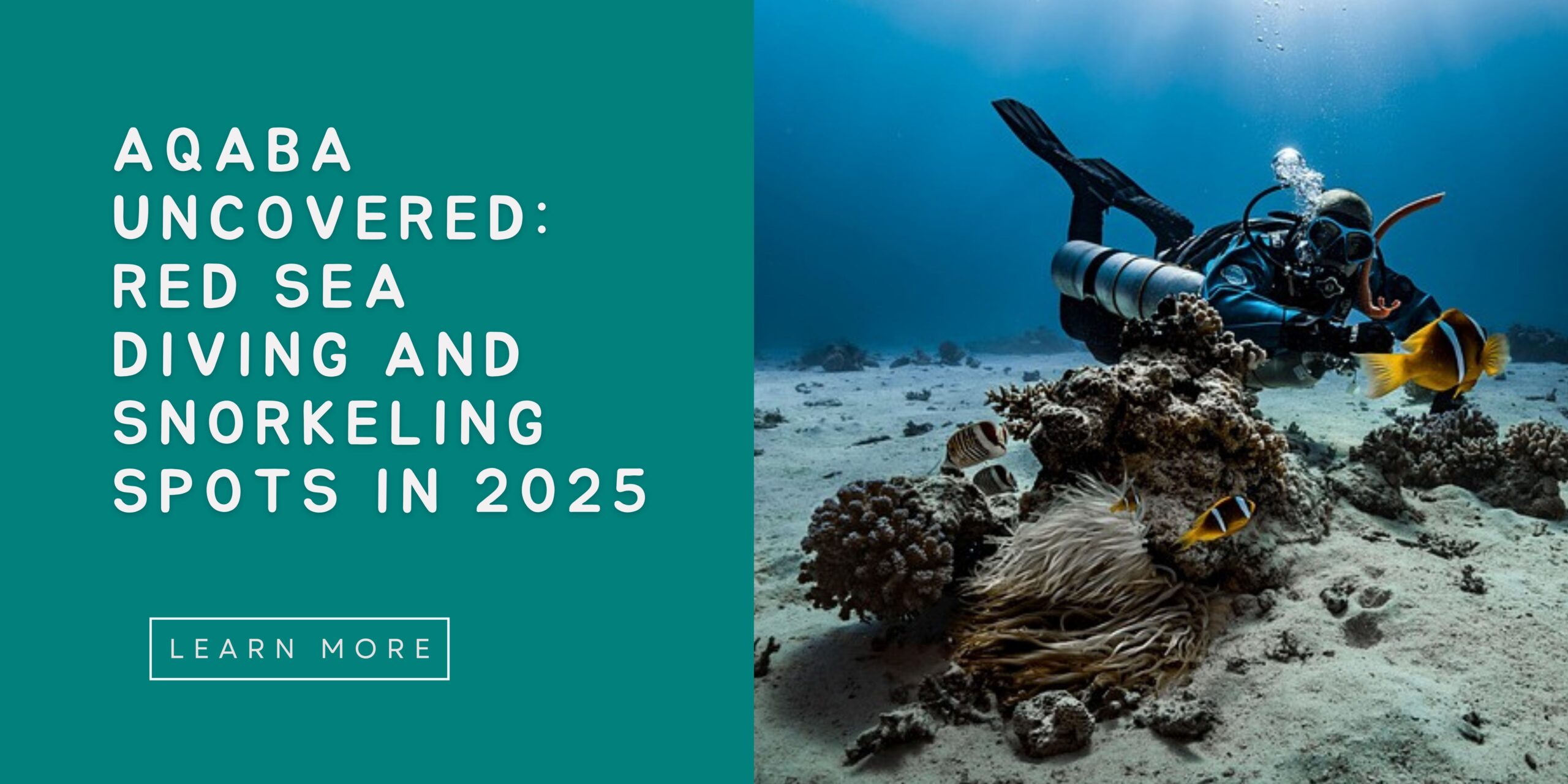 Aqaba Uncovered: Red Sea Diving and Snorkeling Spots in 2025 - IlinkTurkey